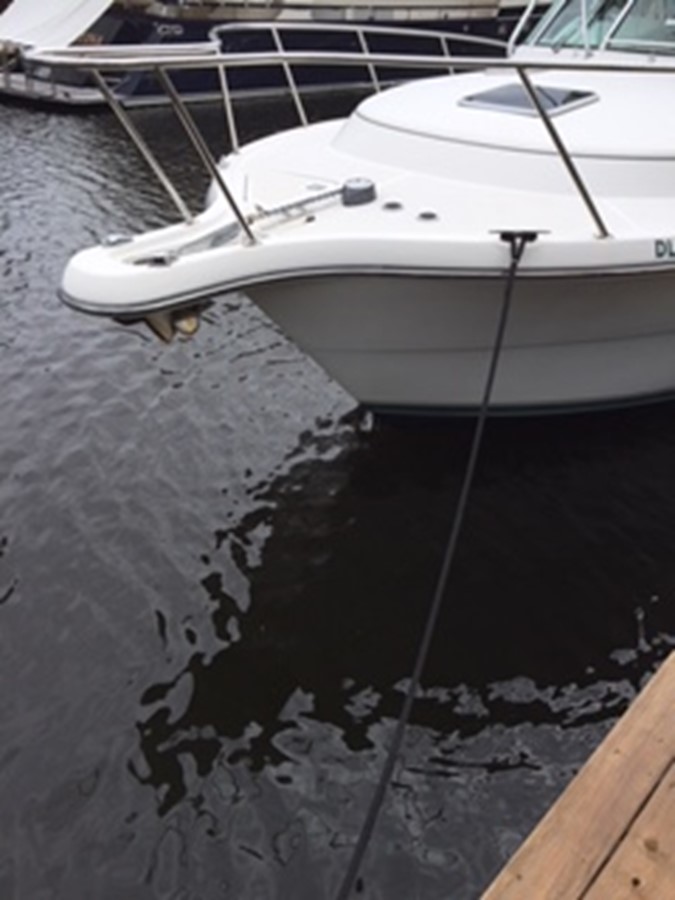 PAPER DOLL Cruising Yacht PURSUIT BOATS 34' 2001 | YATCO