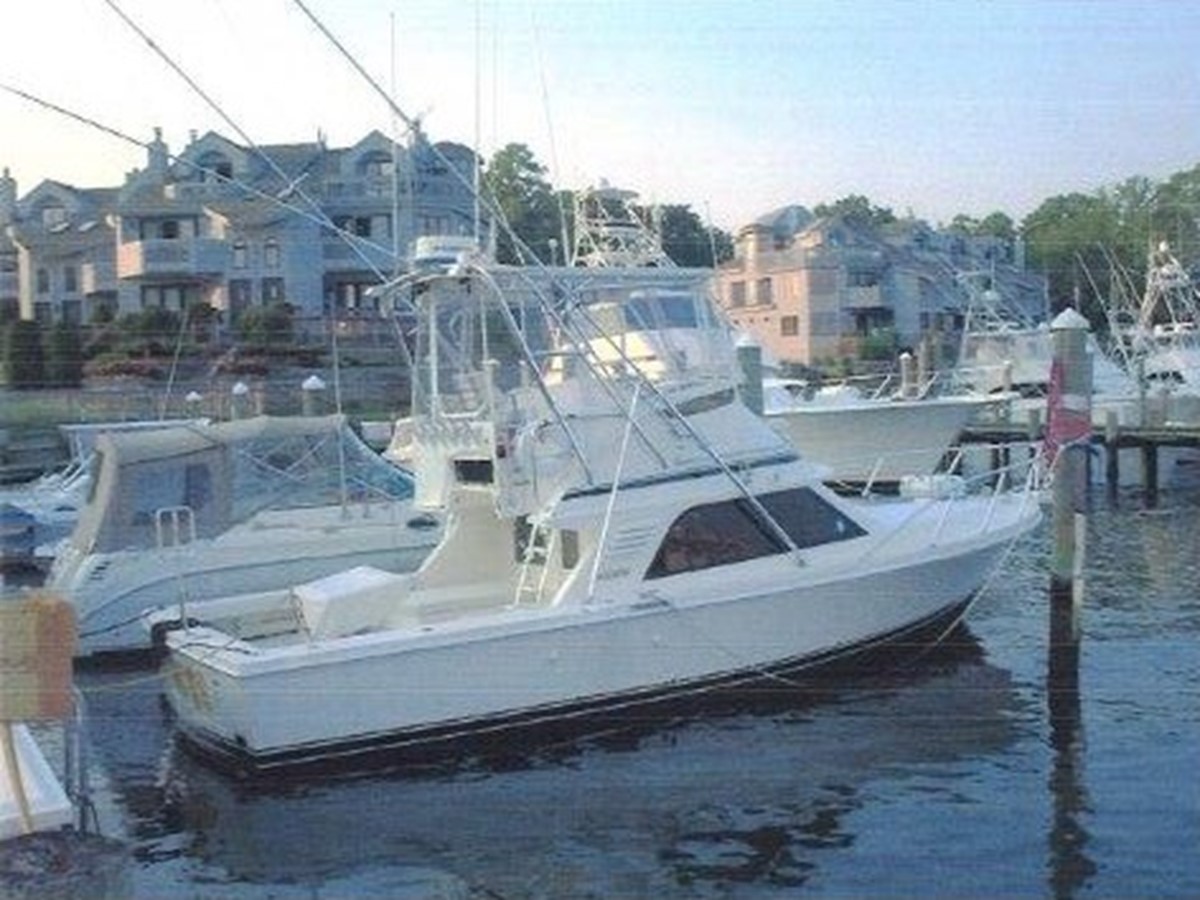 BLONDIE Sport Fisherman BLACKFIN 33' 1991 | YATCO