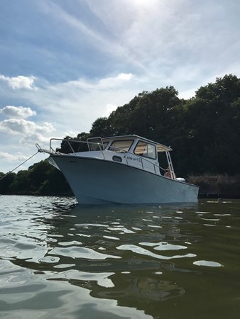 No Name Cruising Yacht MAYCRAFT 25' 2017 | YATCO