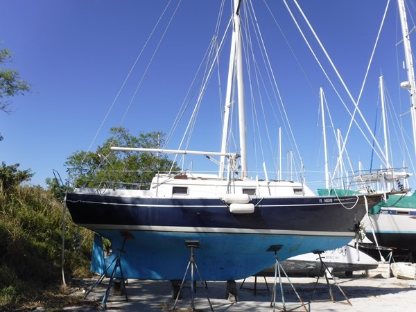 Lily Cutter BAYFIELD YACHTS 29' 1985 | YATCO