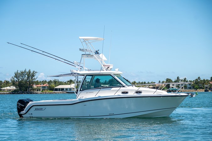 IRONY Boat BOSTON WHALER 31' 2017 | YATCO