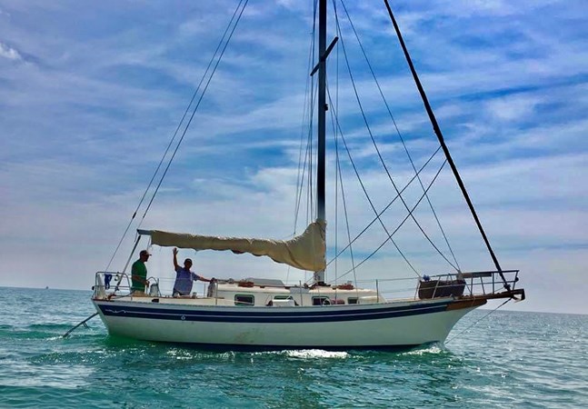 Bayfield Cruising Sailboat BAYFIELD YACHTS 32' 1988 | YATCO