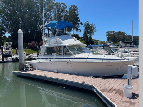 Western Flyer Cruising Yacht BERTRAM 33' 1977 | YATCO